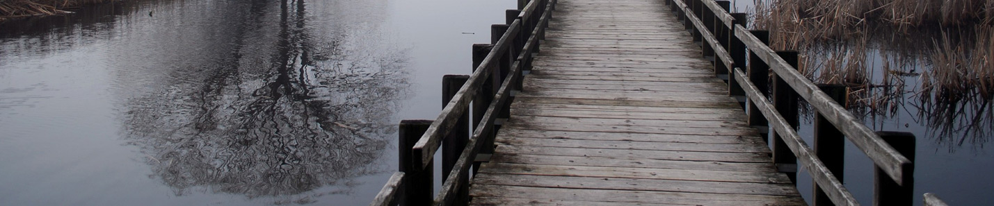 Rural Routes Ontario - Haley Station